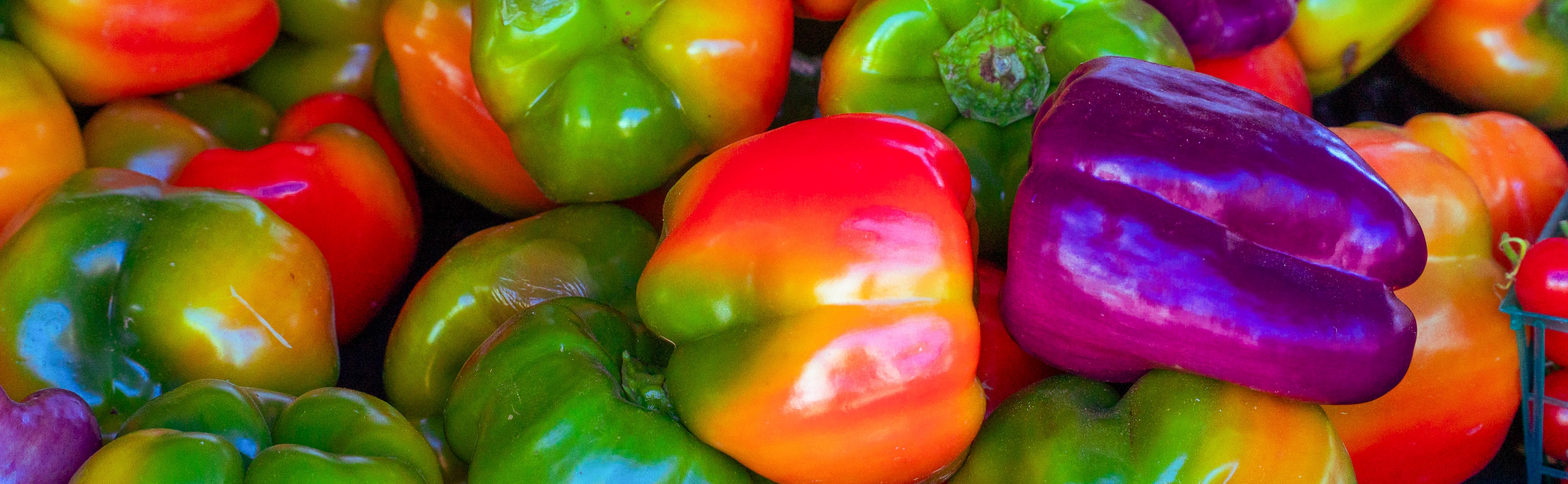 Peppers – SeedCatalog.com